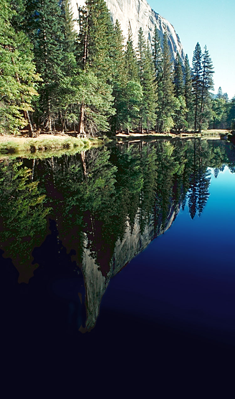 N62_ea212c1f-a56d-4ce3-b9aa-1a2ed09e5564.jpg?v=1647629316