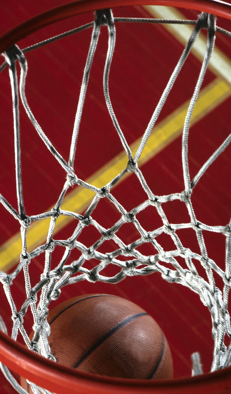 SP2.jpg?v=1685031363