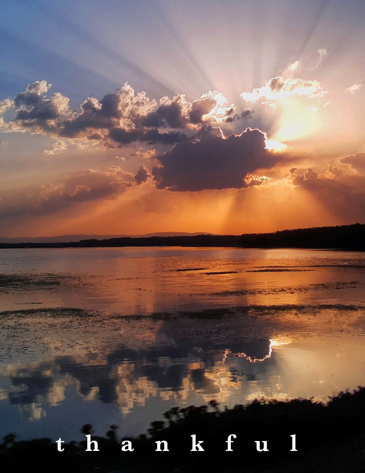 TYN3.jpg?v=1693491322