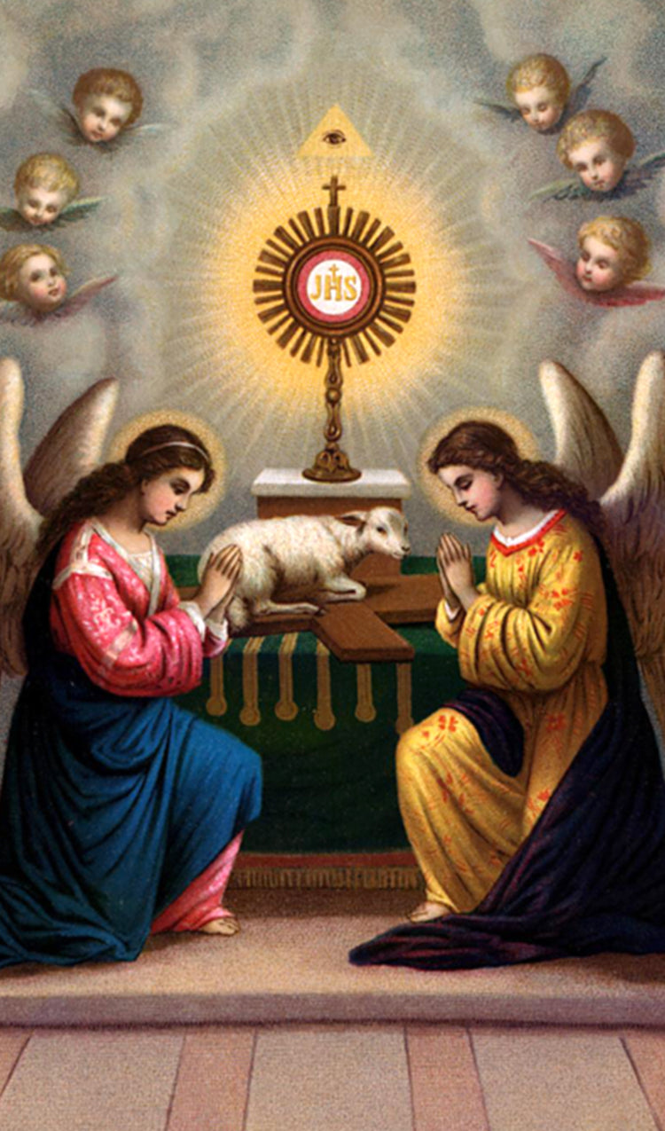 X25.jpg?v=1694790353