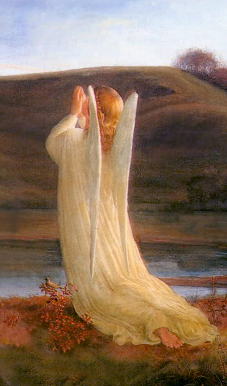 C24.jpg?v=1682100655