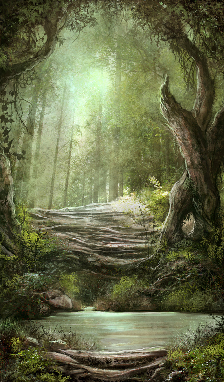 Irish Forest with Irish Blessing