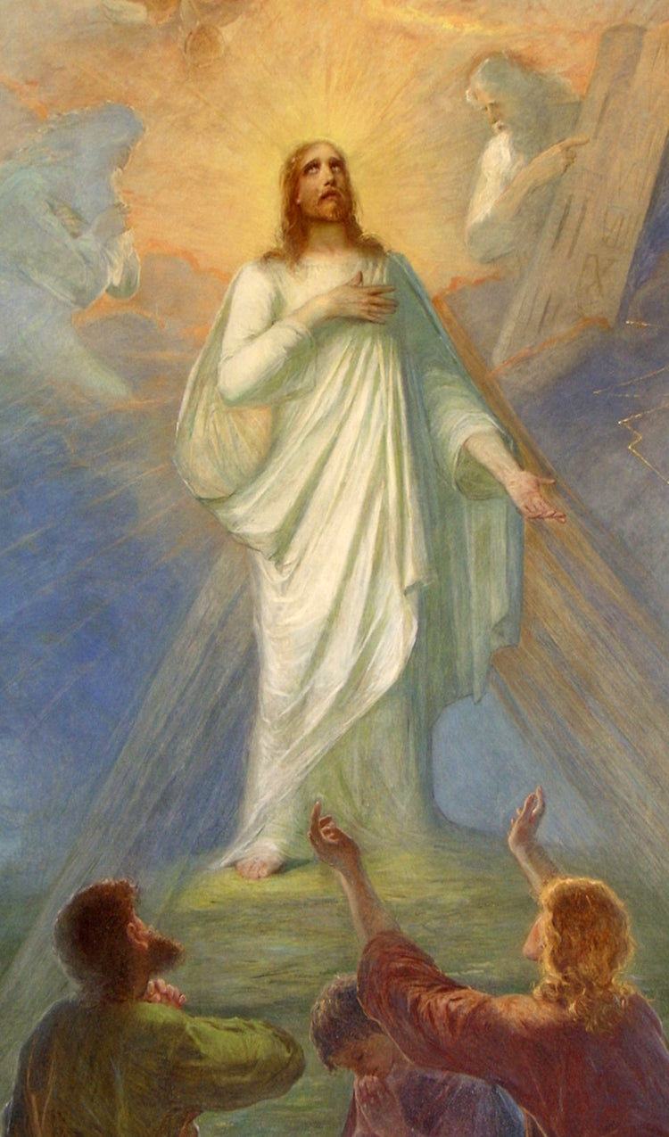 J99.jpg?v=1679501758