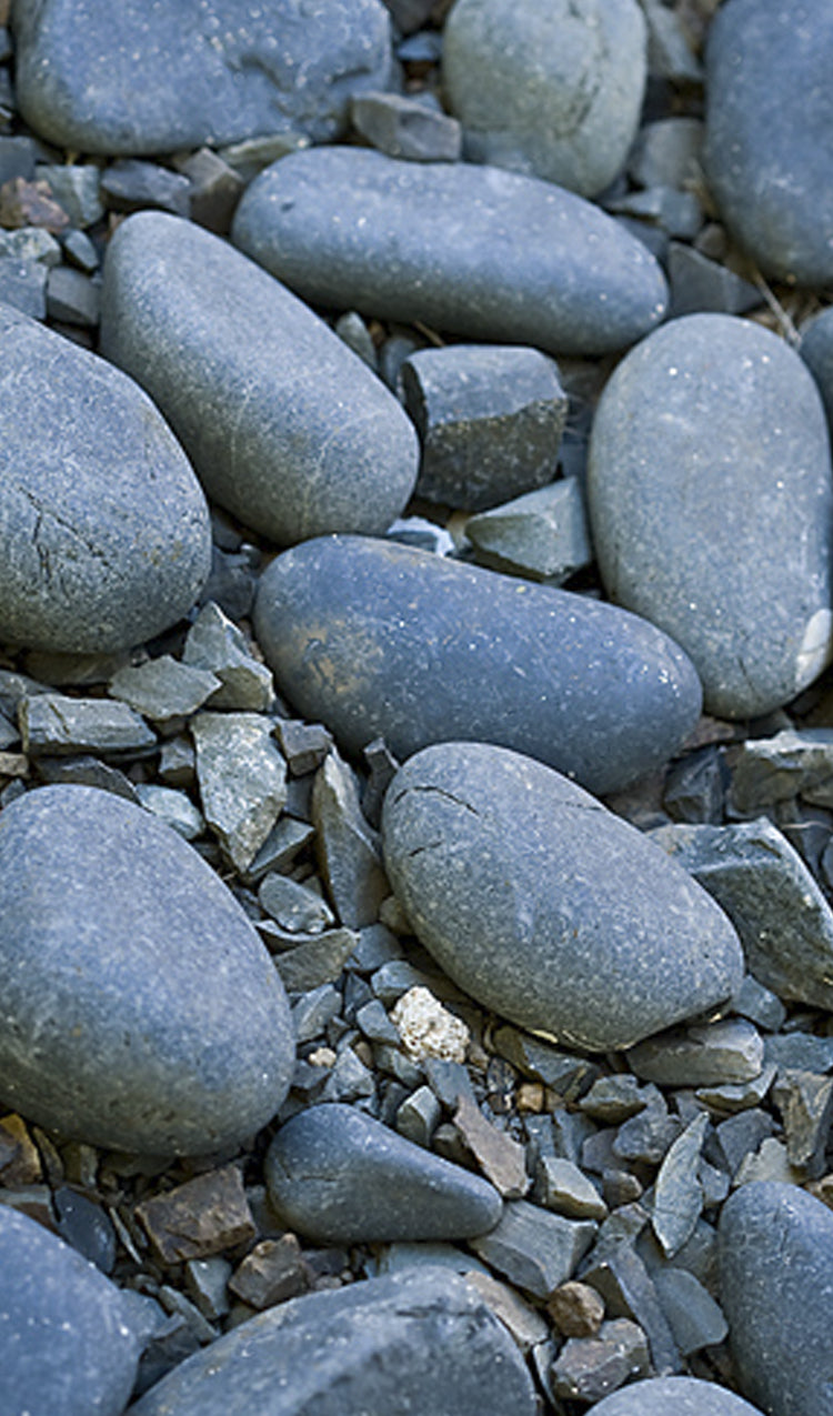 N120_2cec10b1-94d2-427e-b6af-ec562f84bda3.jpg?v=1647629169