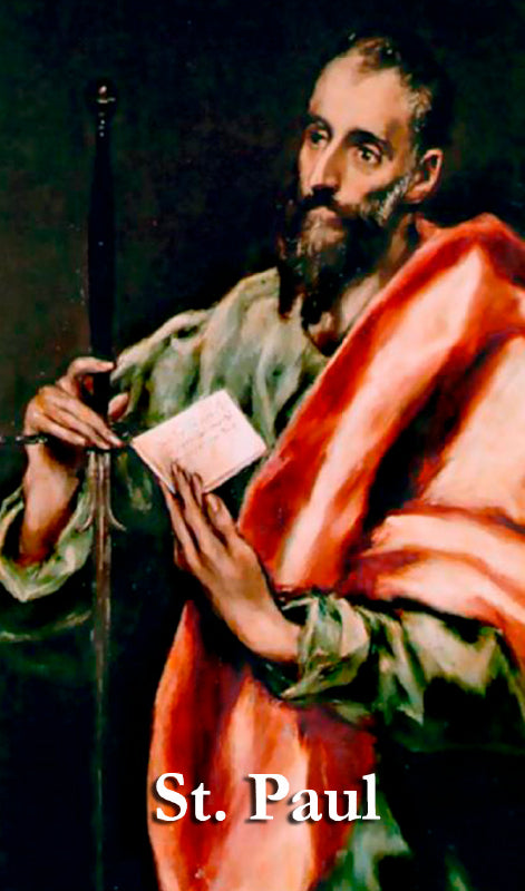 ST31_a0c8afef-68be-48bf-8e65-ea791e858031.jpg?v=1647629028