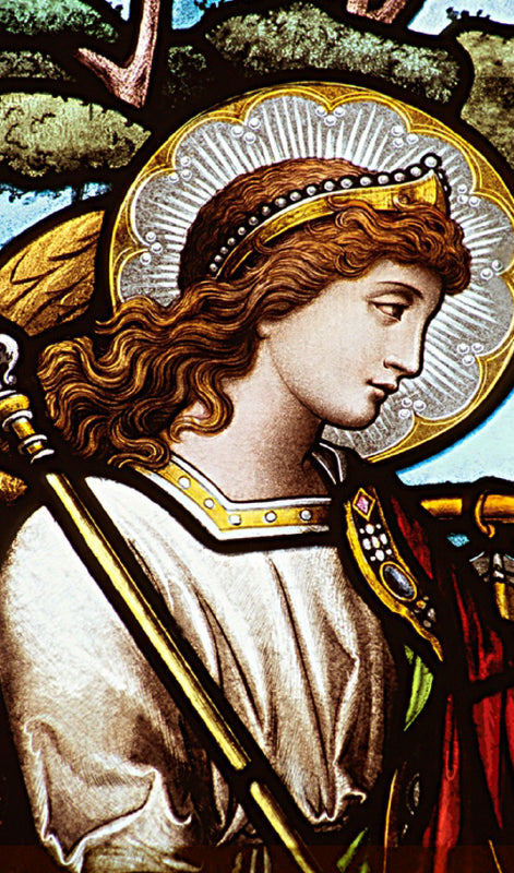 ST40_183f863c-5ea7-4210-828b-996e2e388d19.jpg?v=1647629018